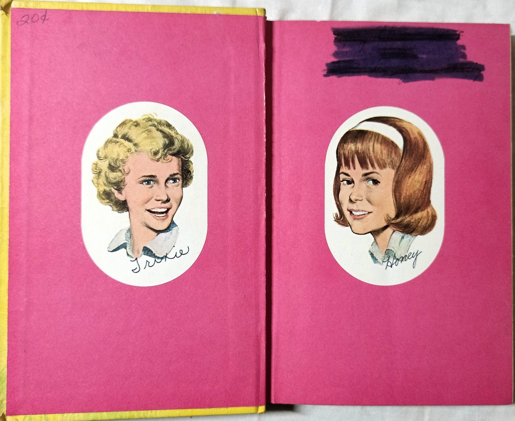 Horse Girl Mystery: Trixie Belden | Media Magpies