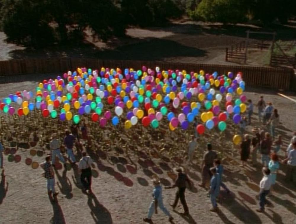 Balloon Farm | Media Magpies